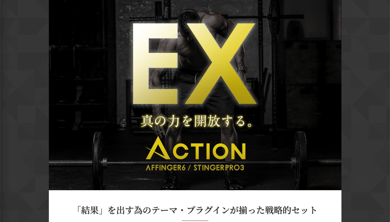 【特典あり】AFFINGER6 EX（AFFINGER PACK3）の特徴や口コミ・評判まとめ！