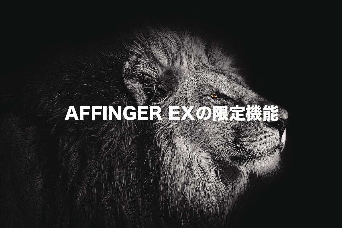 【特典あり】AFFINGER6 EX（AFFINGER PACK3）の特徴や口コミ・評判まとめ！